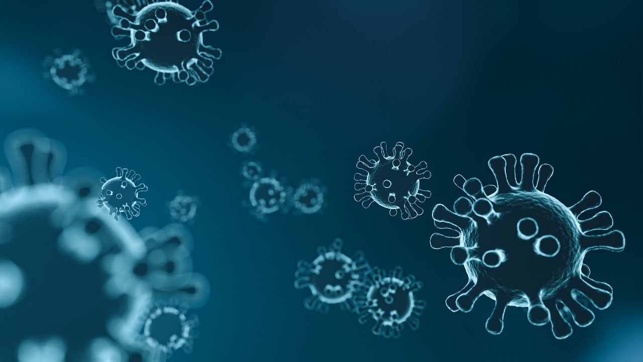 Dermatose nodulaire contagieuse (DNC): point de situation au 14 ...